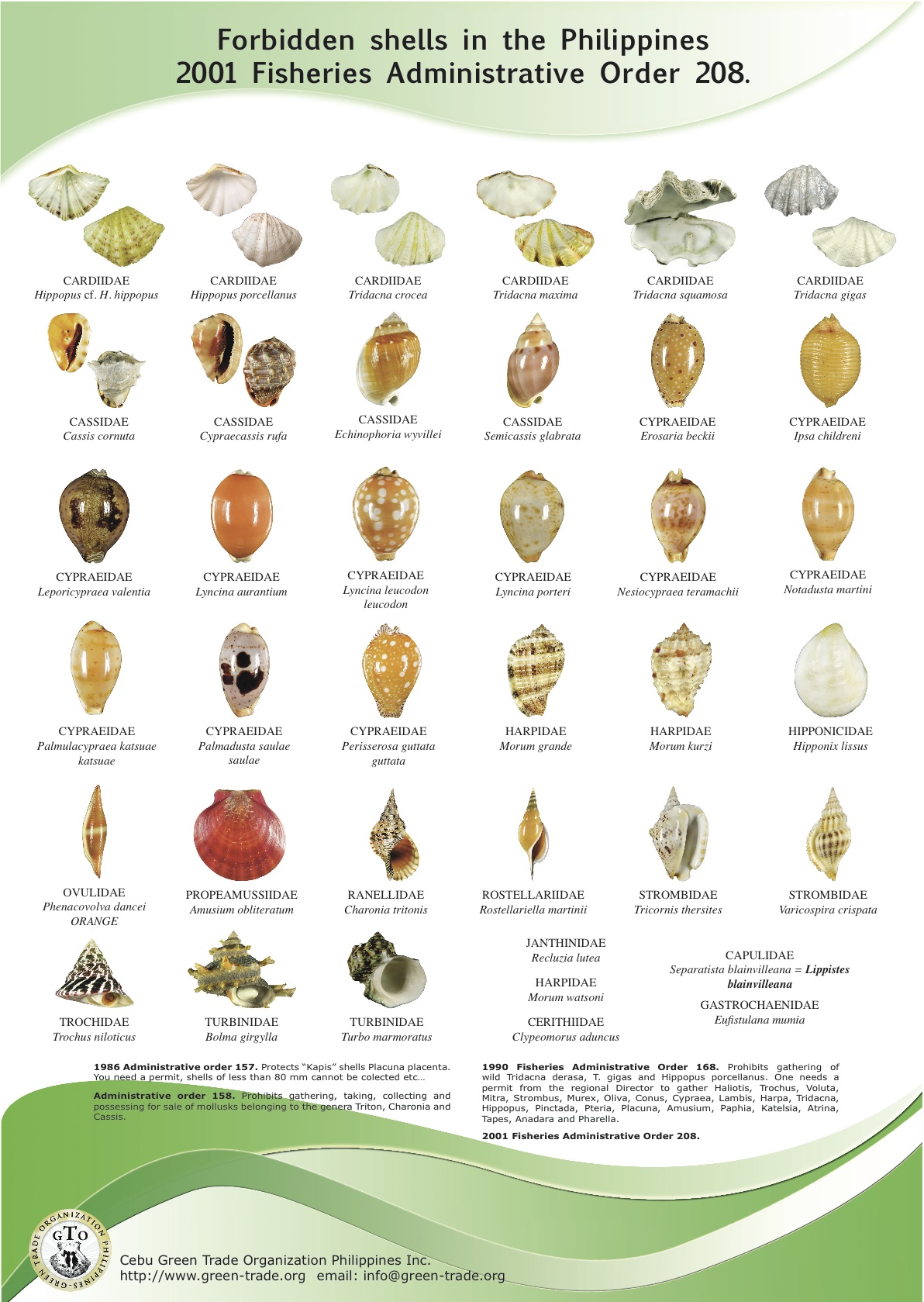 GTO Forbidden Seashells Poster – Cebu Green Trade Organization ...